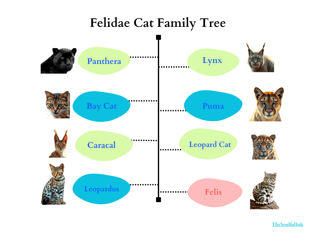 Meow-velous Friends: 5 Most Famous Women Who Owns Cats – The Soulful Ink